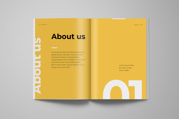 How to Write a Company Profile in 7 Steps (with example)